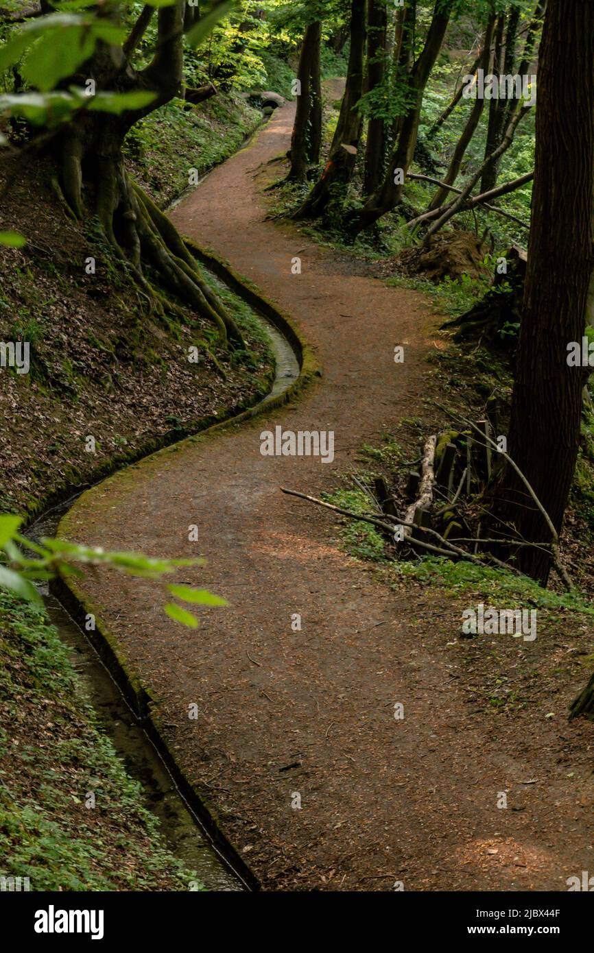 Rheinsteig hiking trail landscape in the Rhein Westerwald Nature Park ...