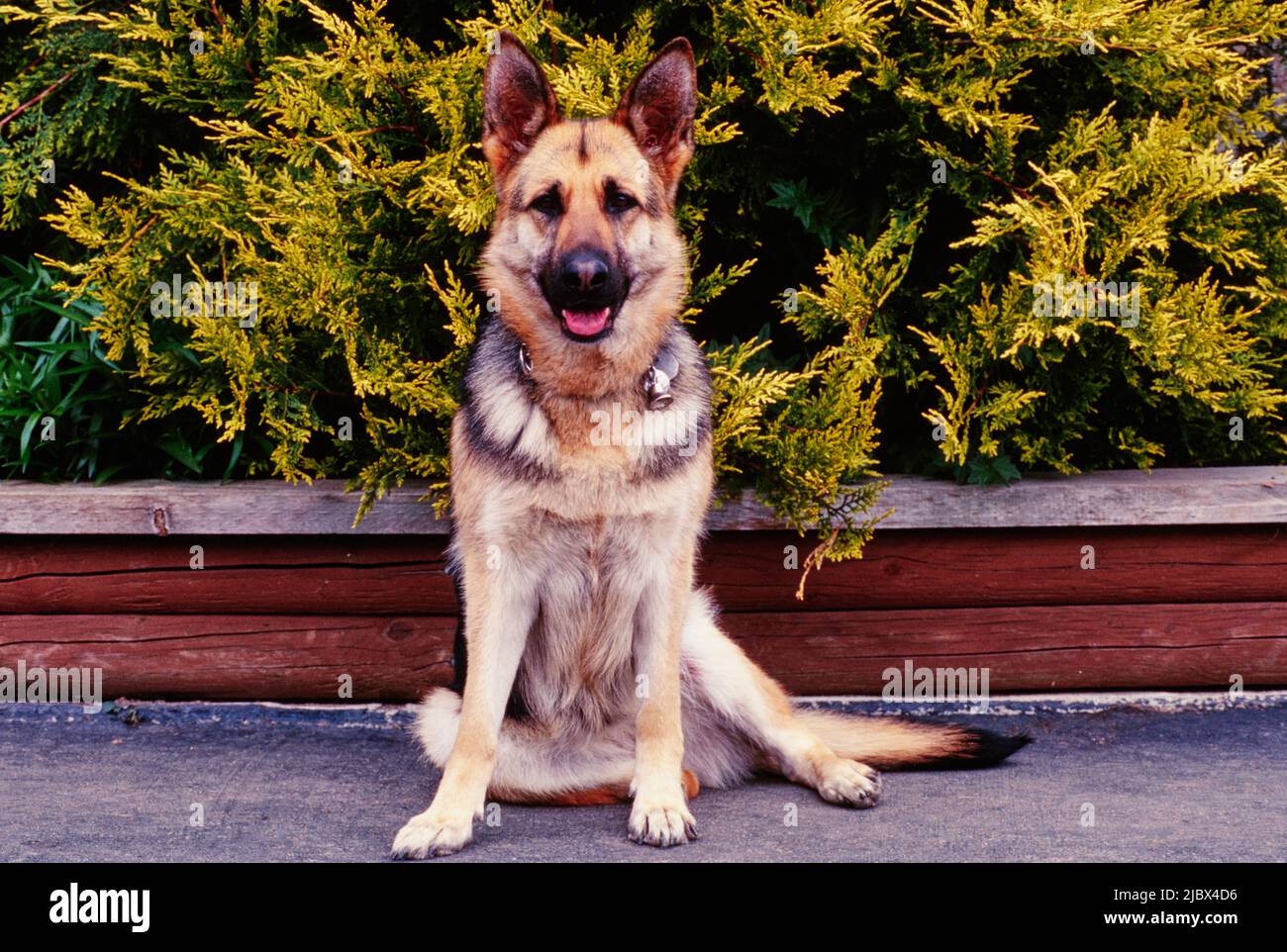 German landscaping hi-res stock photography and images - Alamy