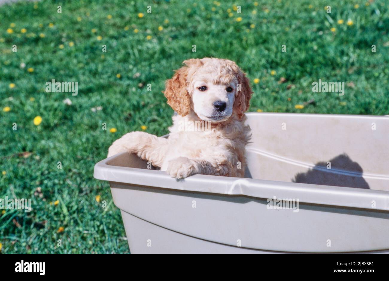 Standard container hi-res stock photography and images - Alamy