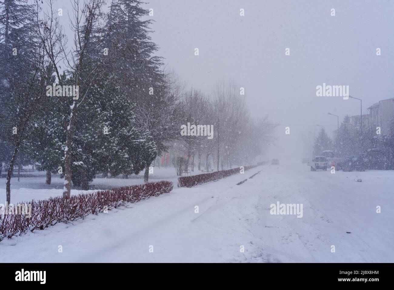 Roads and trees under snow at urban landscape Stock Photo - Alamy