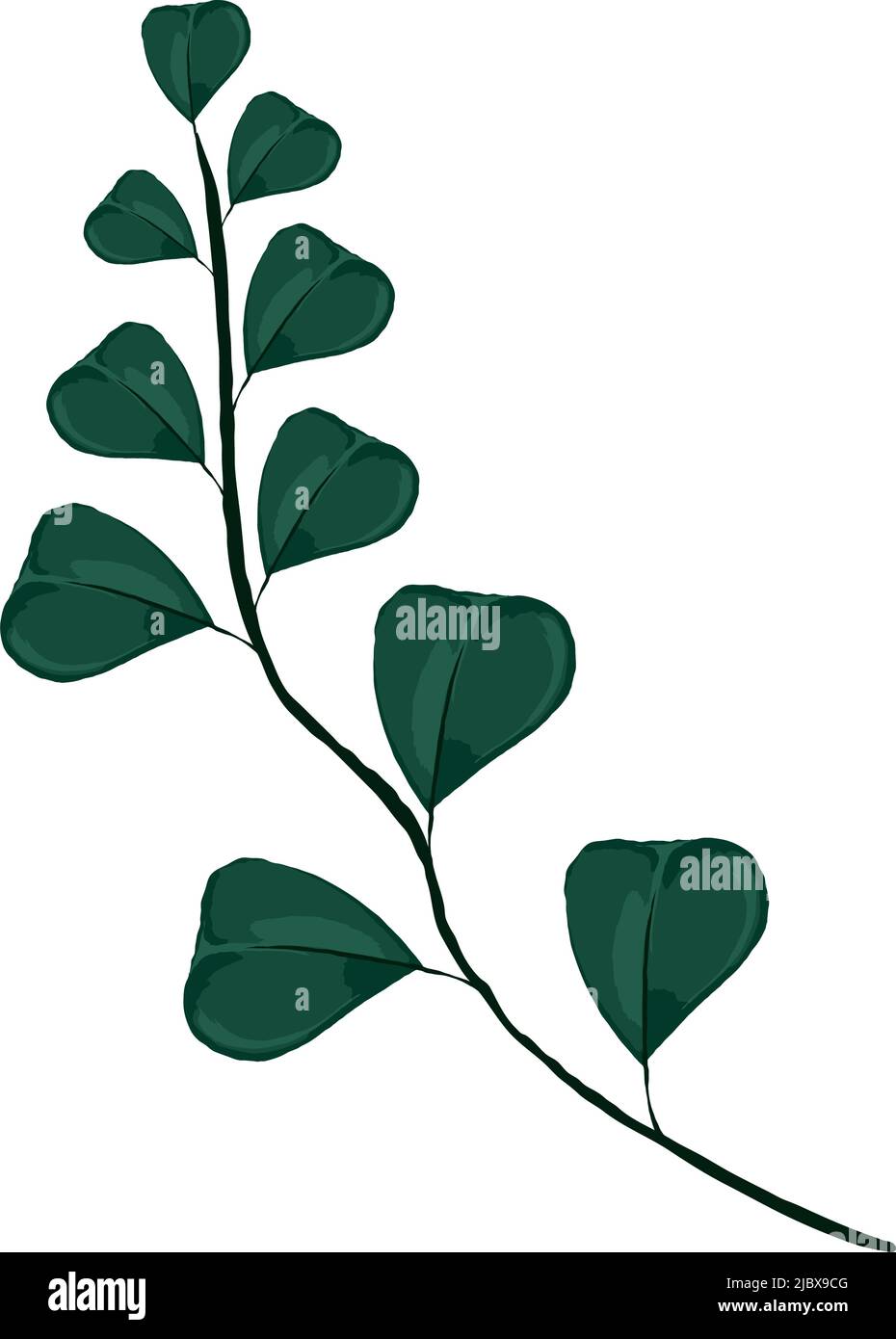 foliage nature icon Stock Vector Image & Art - Alamy