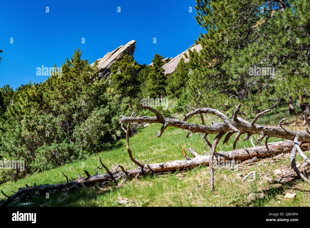 Second Flatiron as viewed from the Flatirons Trail in Chautauqua Park ...