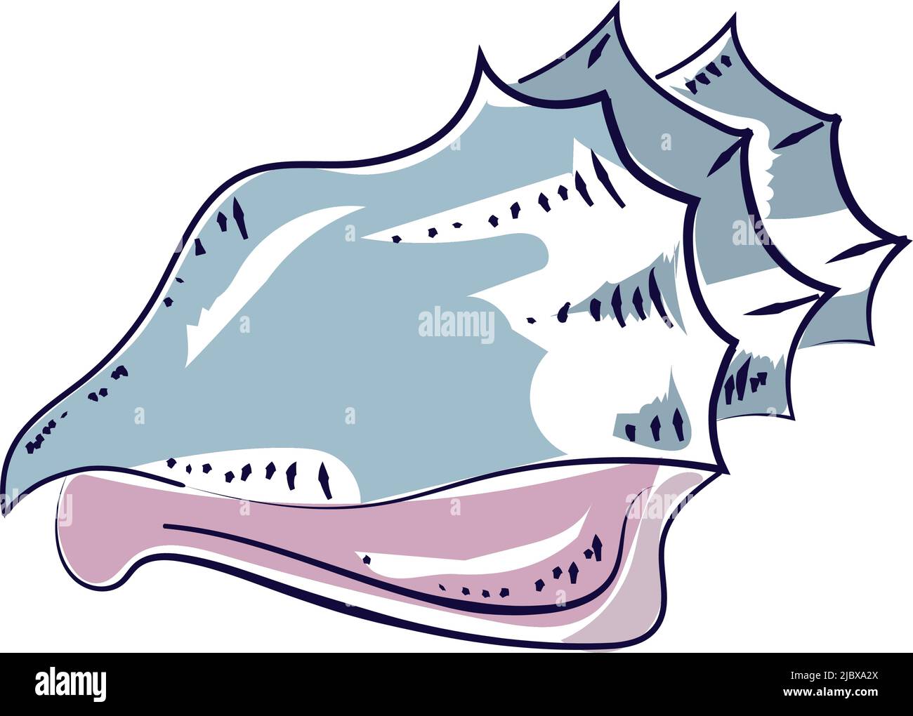 nautilus shell icon Stock Vector Image & Art - Alamy