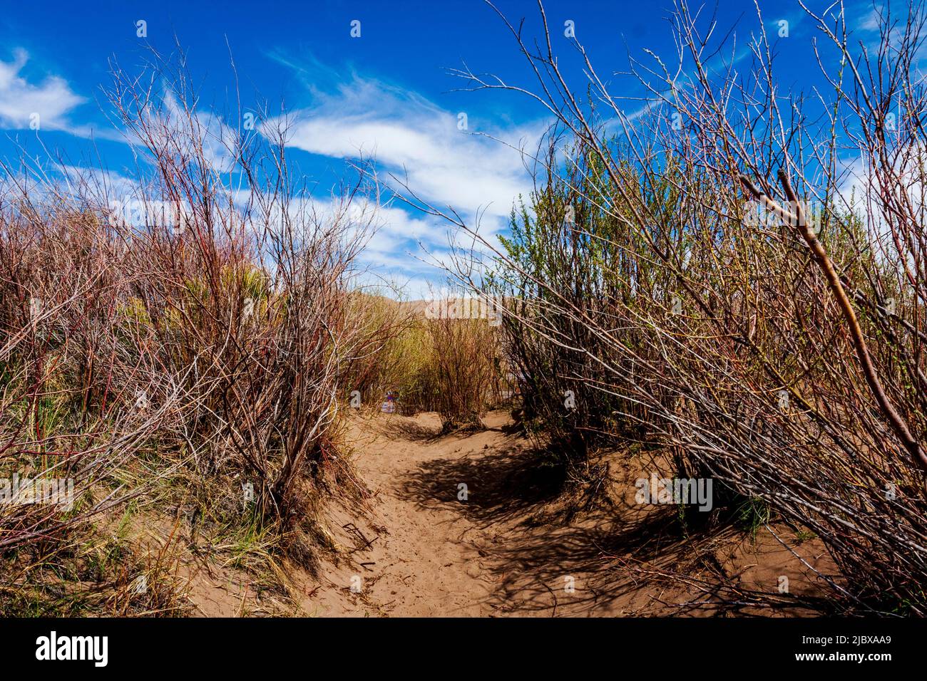 Sand dunes hiking trail hi-res stock photography and images - Alamy