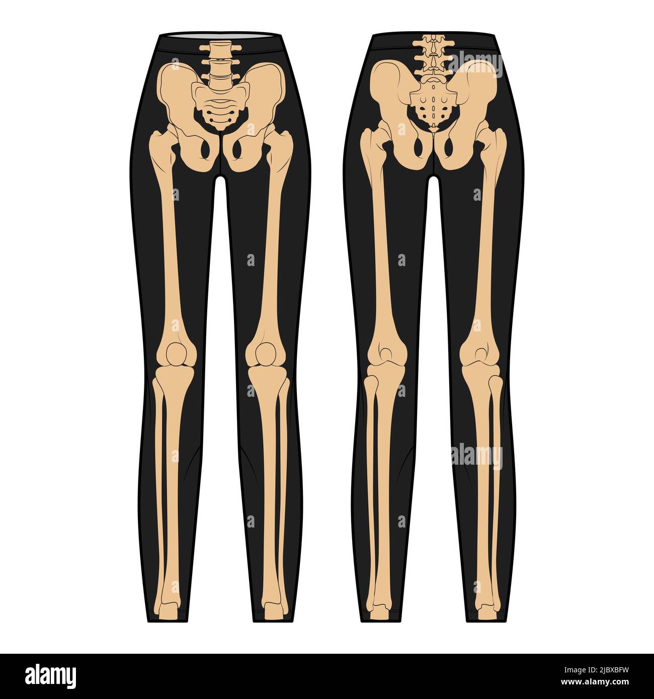 Set of Skeleton costume Human bones on leggings pants front back view ...