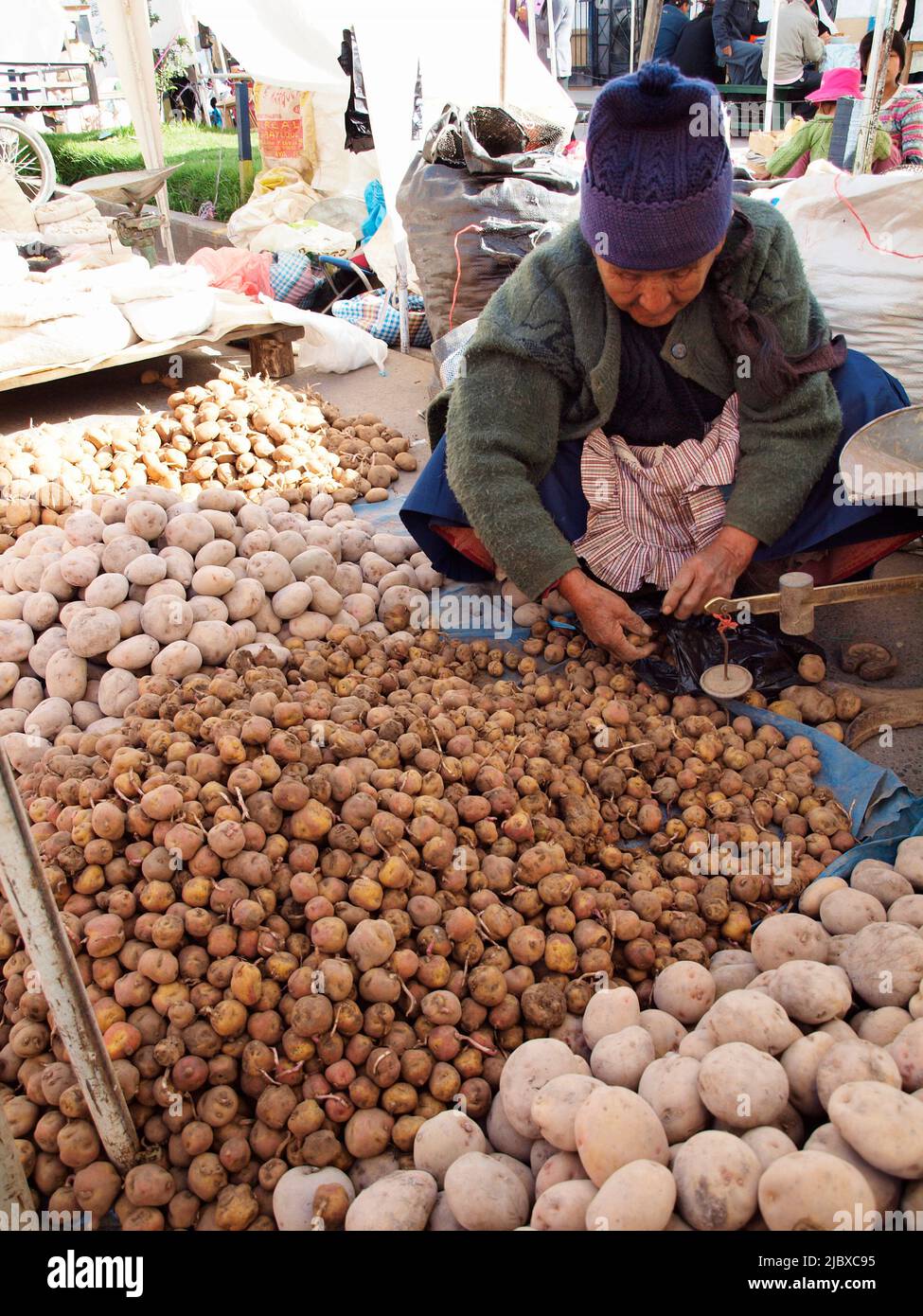 Buyers and sellers interacting at a rural indigenous potato market in ...