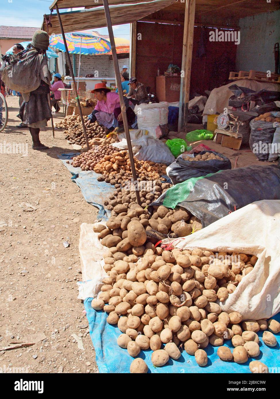Buyers and sellers interacting at a rural indigenous potato market in ...
