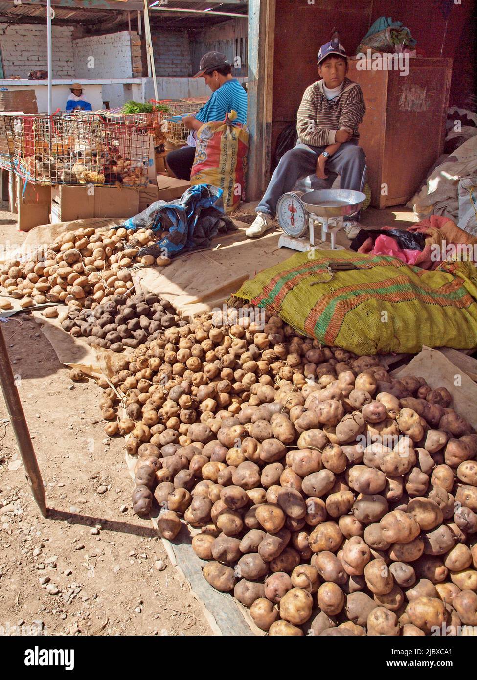 Buyers and sellers interacting at a rural indigenous potato market in ...