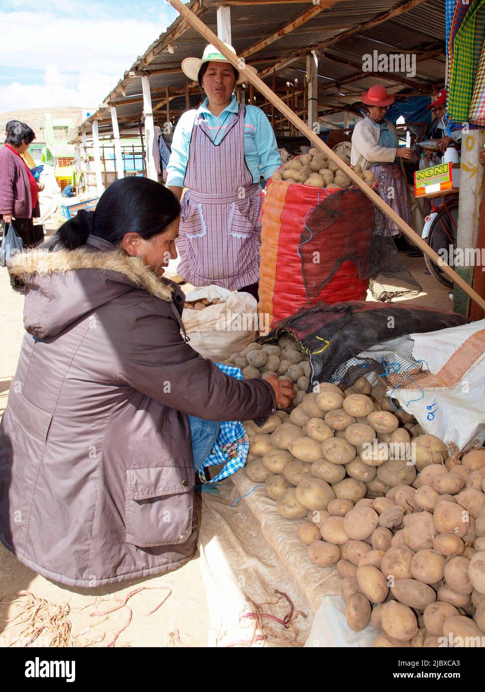Buyers and sellers interacting at a rural indigenous potato market in ...