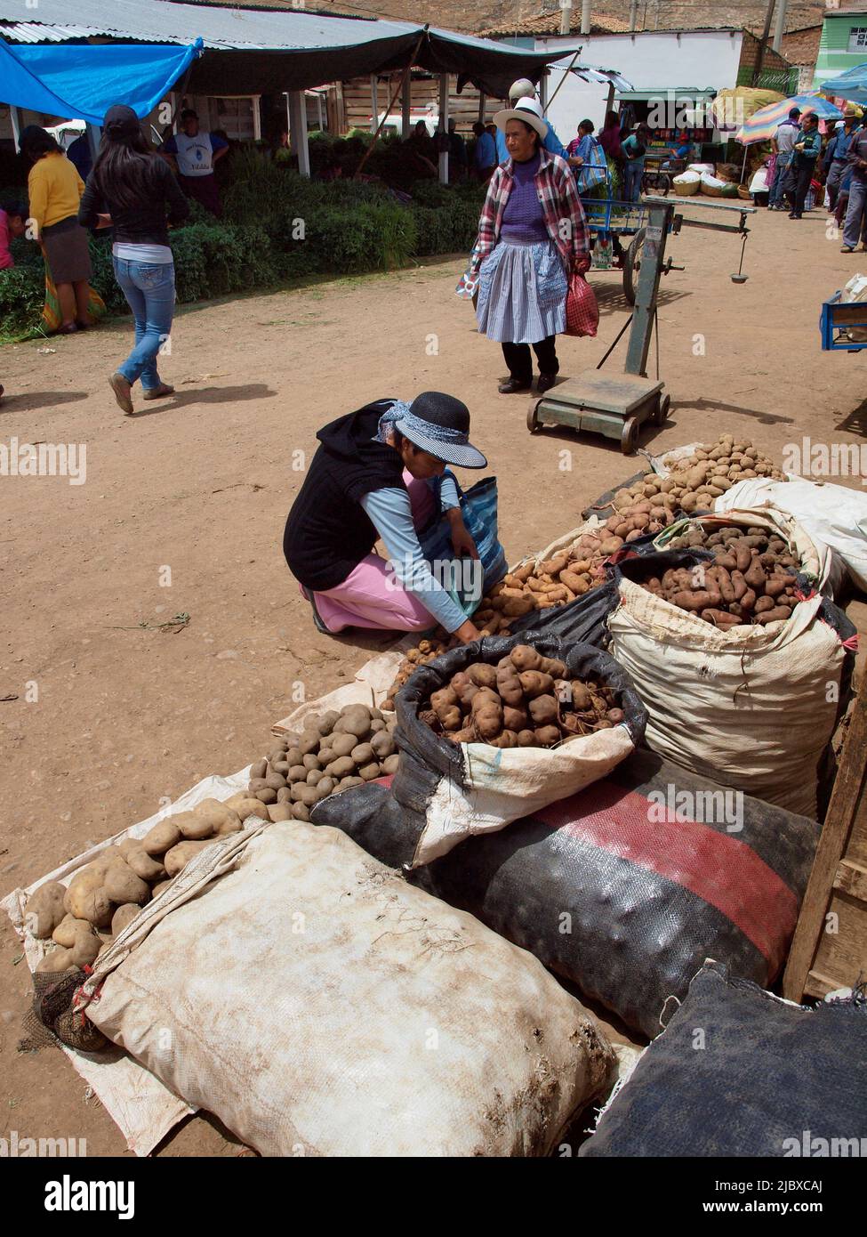 Buyers and sellers interacting at a rural indigenous potato market in ...