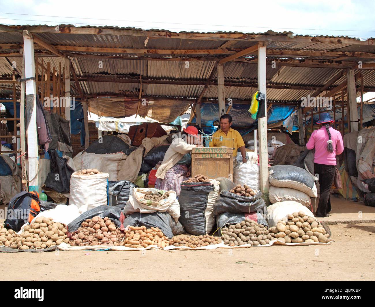 Buyers and sellers interacting at a rural indigenous potato market in ...