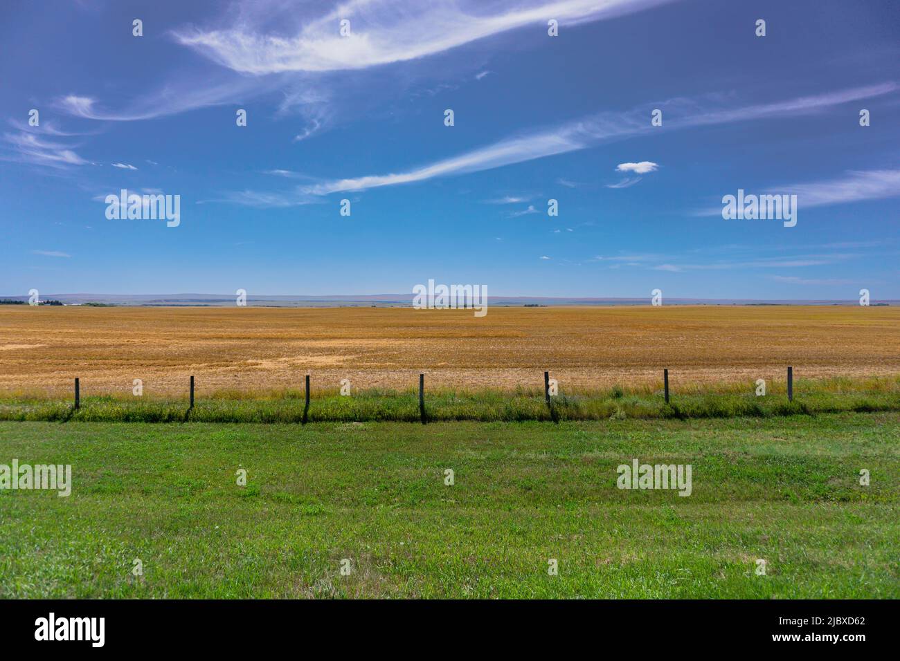 Prairie landscape in rural Alberta with grain farm on the horizon under ...