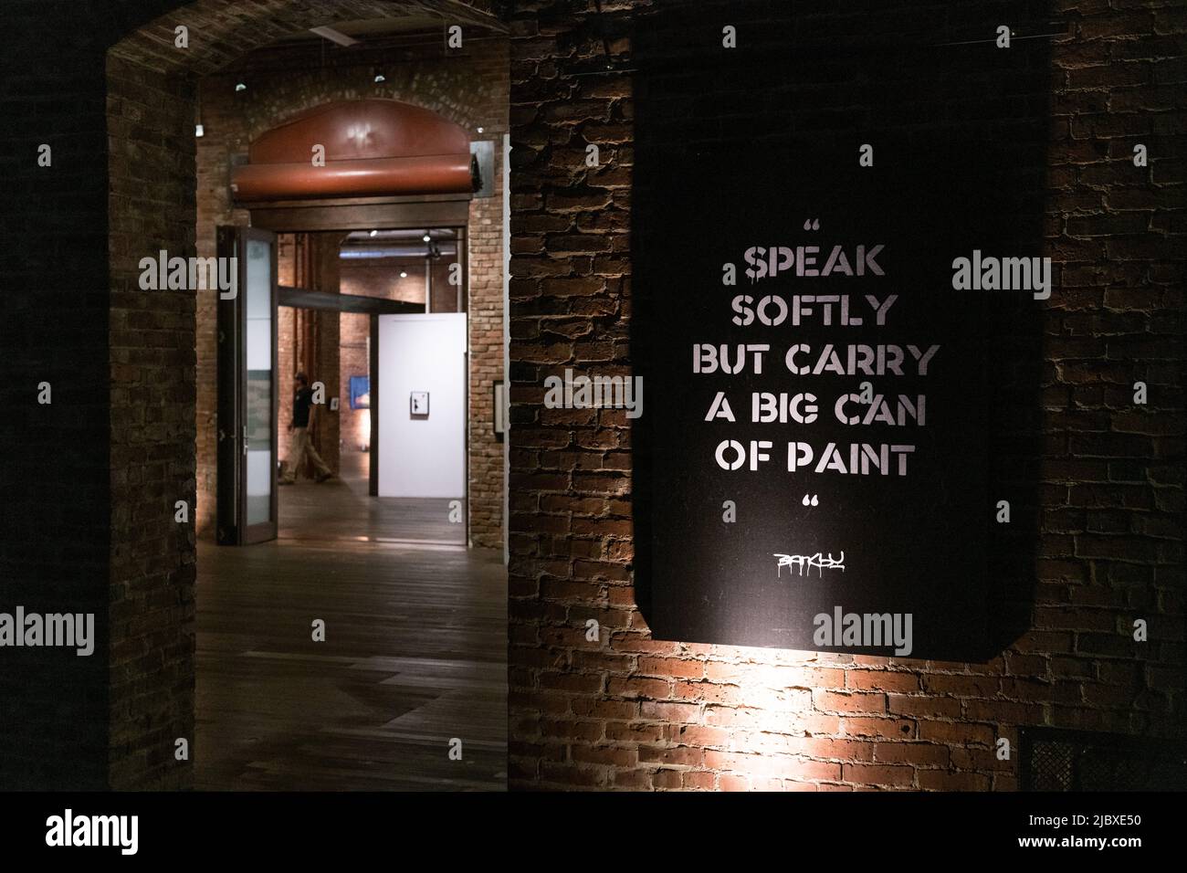 Seattle, USA. 8 Jun, 2022. BanksyLand Unauthorized and Unmasked. The ...