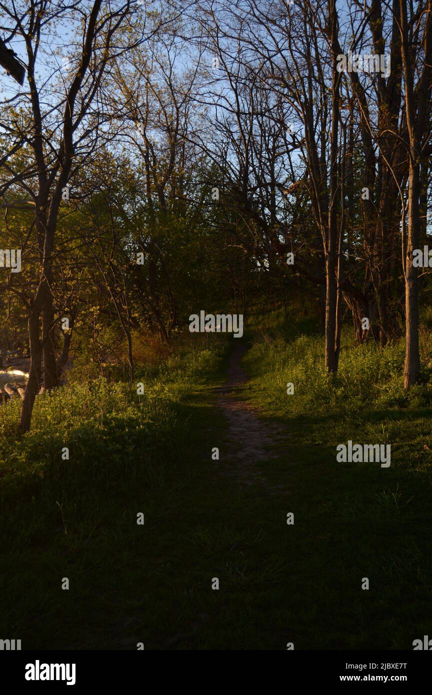 Webster Park Trailway during Sunrise Stock Photo - Alamy