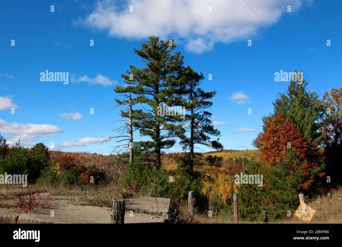 Fall landscape in Michigan Stock Photo - Alamy