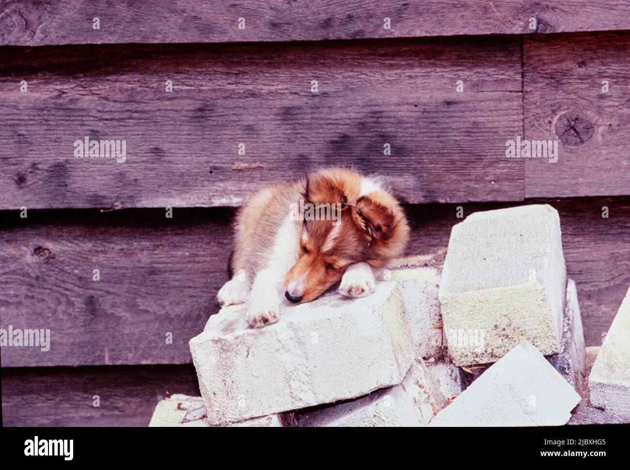 Pile of bricks hi-res stock photography and images - Alamy