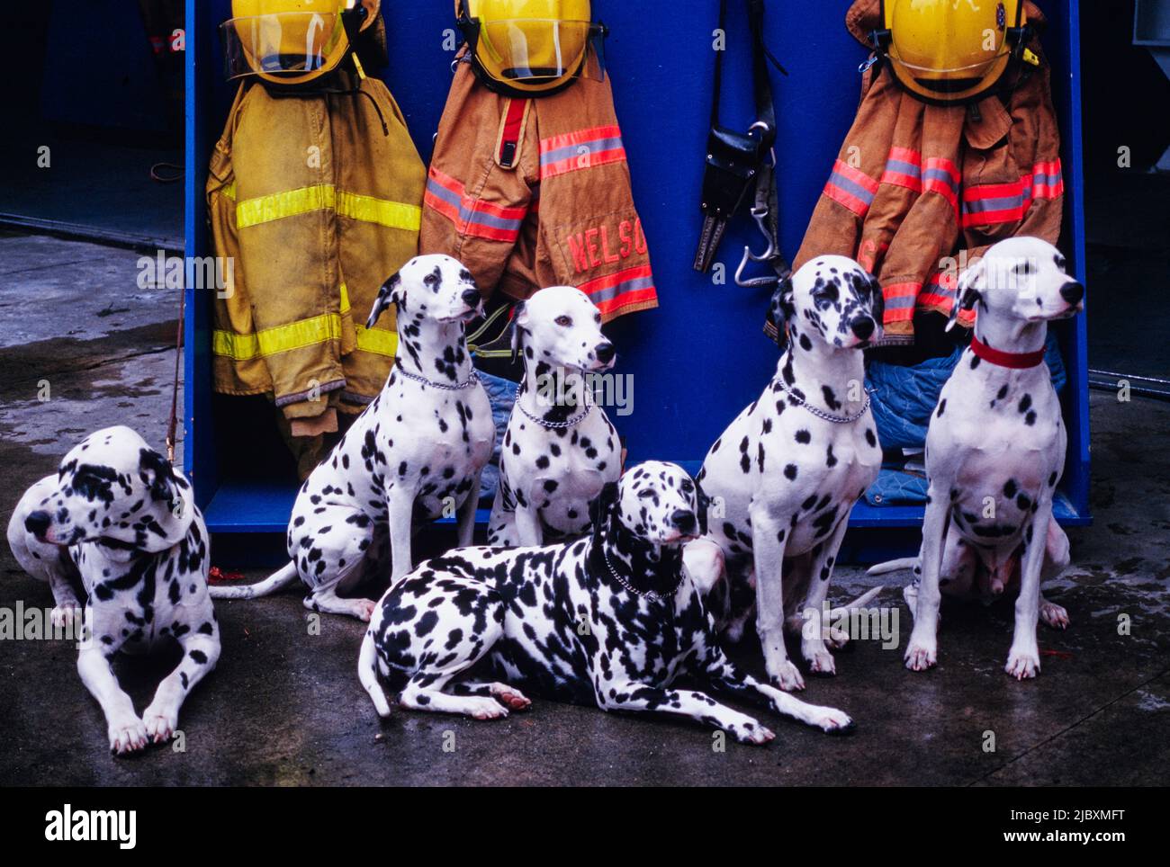Firefighter gear hi-res stock photography and images - Alamy