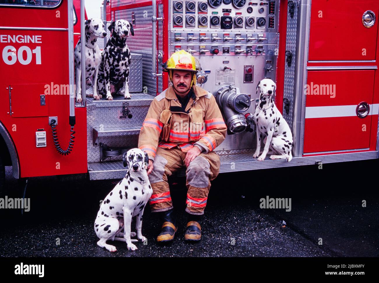 Dalmatians and firefighter sitting in a fire engine Stock Photo - Alamy