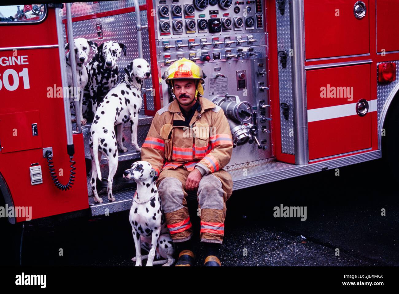 Dalmatians and firefighter sitting in a fire engine Stock Photo - Alamy