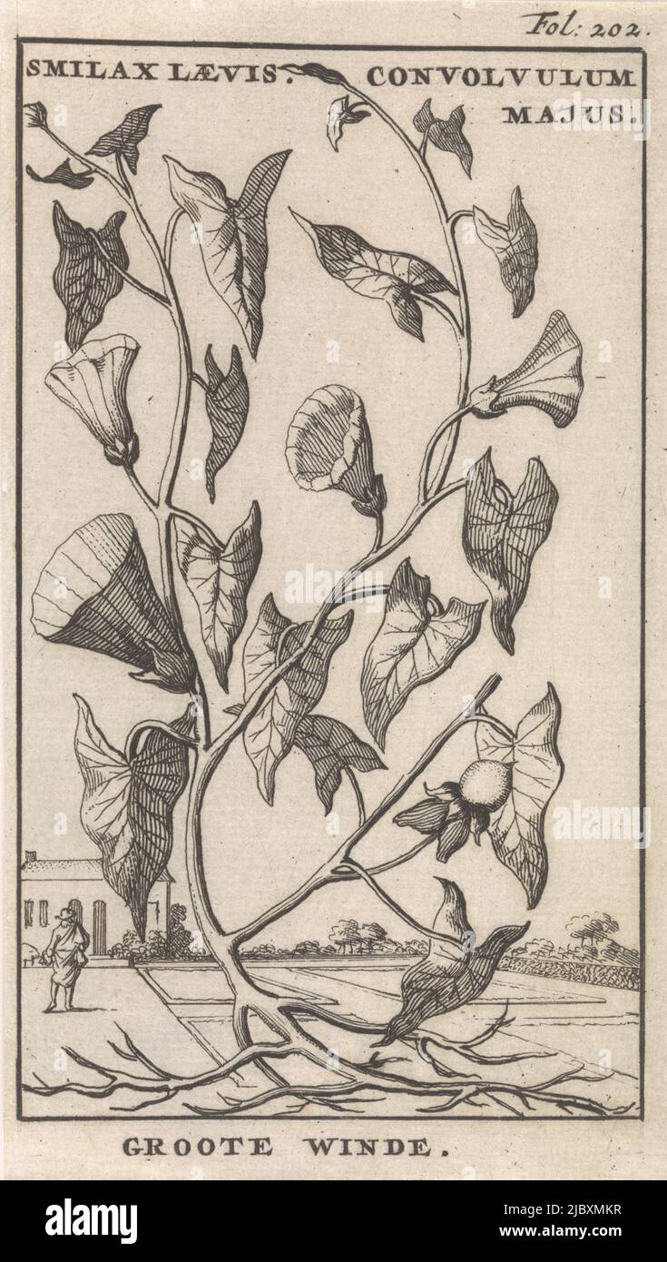 Print marked top right: Fol: 202., Title Page and Eight Prints with ...