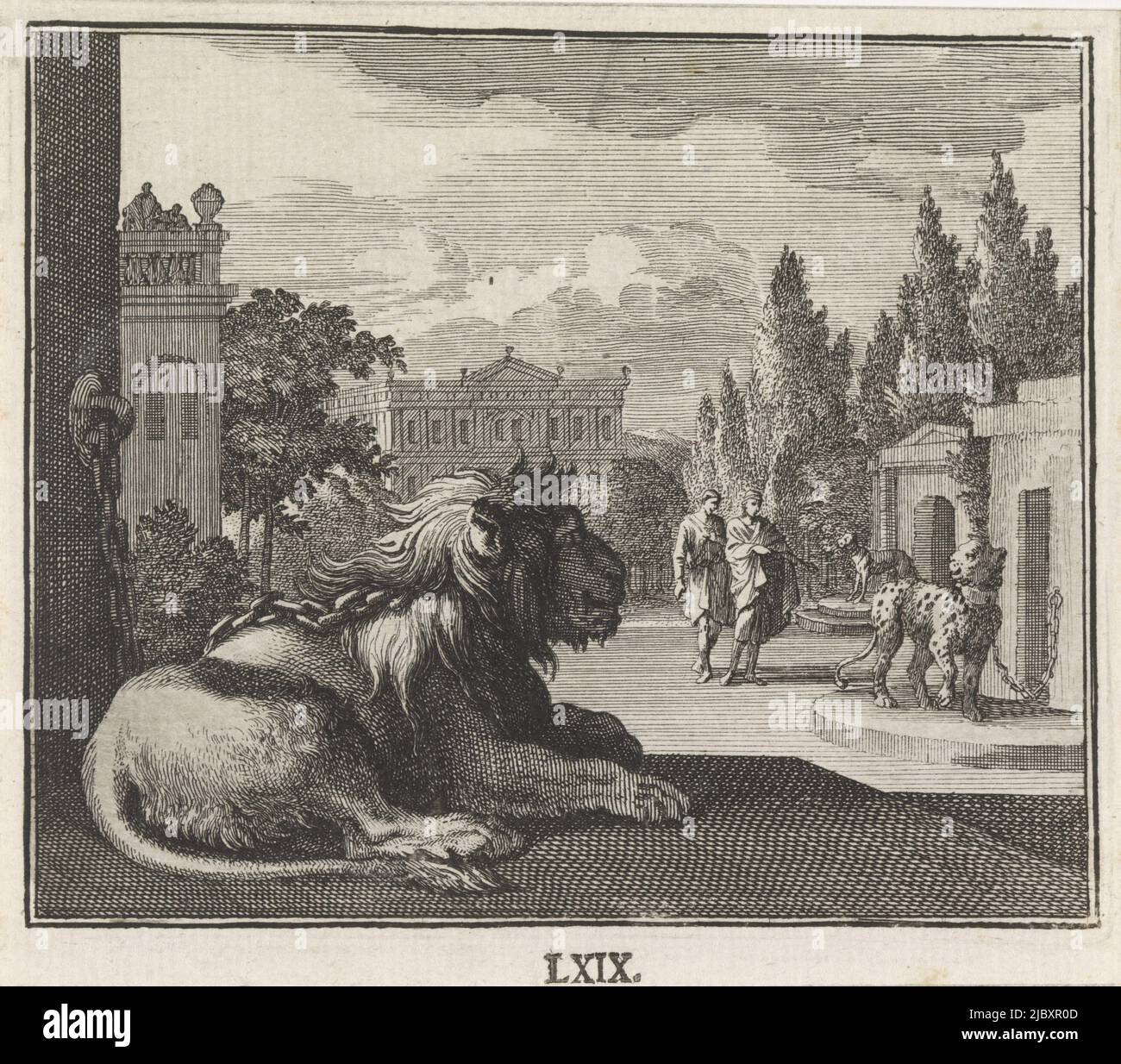 A park with chained wild animals. In the foreground a chained lion. On ...