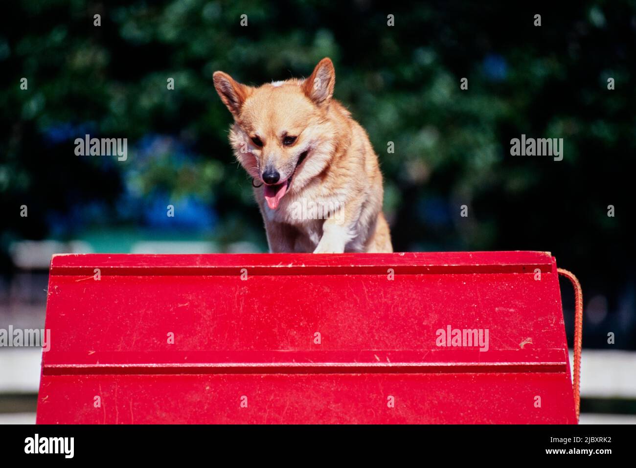 Red ramp hi-res stock photography and images - Alamy