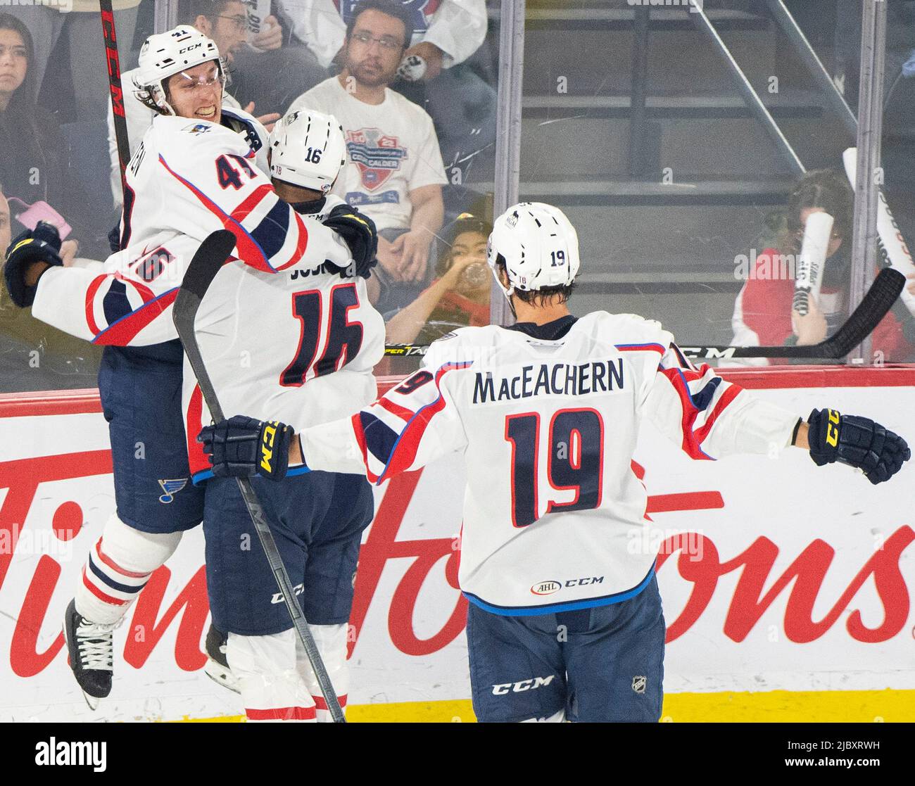 Springfield Thunderbirds' Will Bitten (41) celebrates with teammates ...