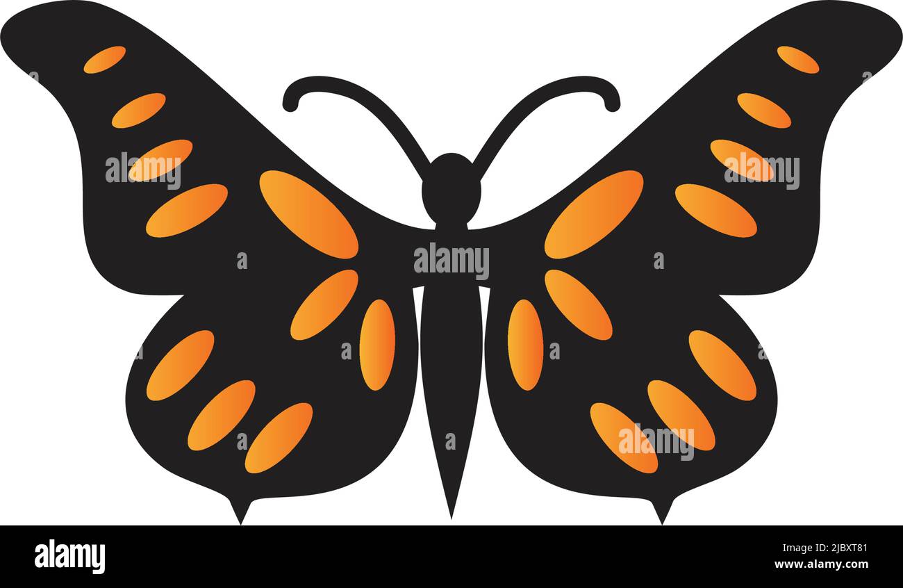 Elegant butterfly linear icon Cut Out Stock Images & Pictures - Alamy