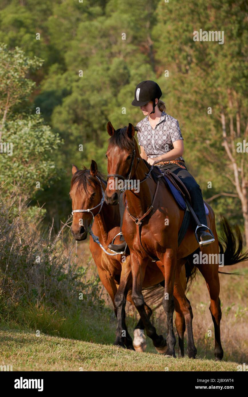 Young woman riding horse and leading another through australian bush ...