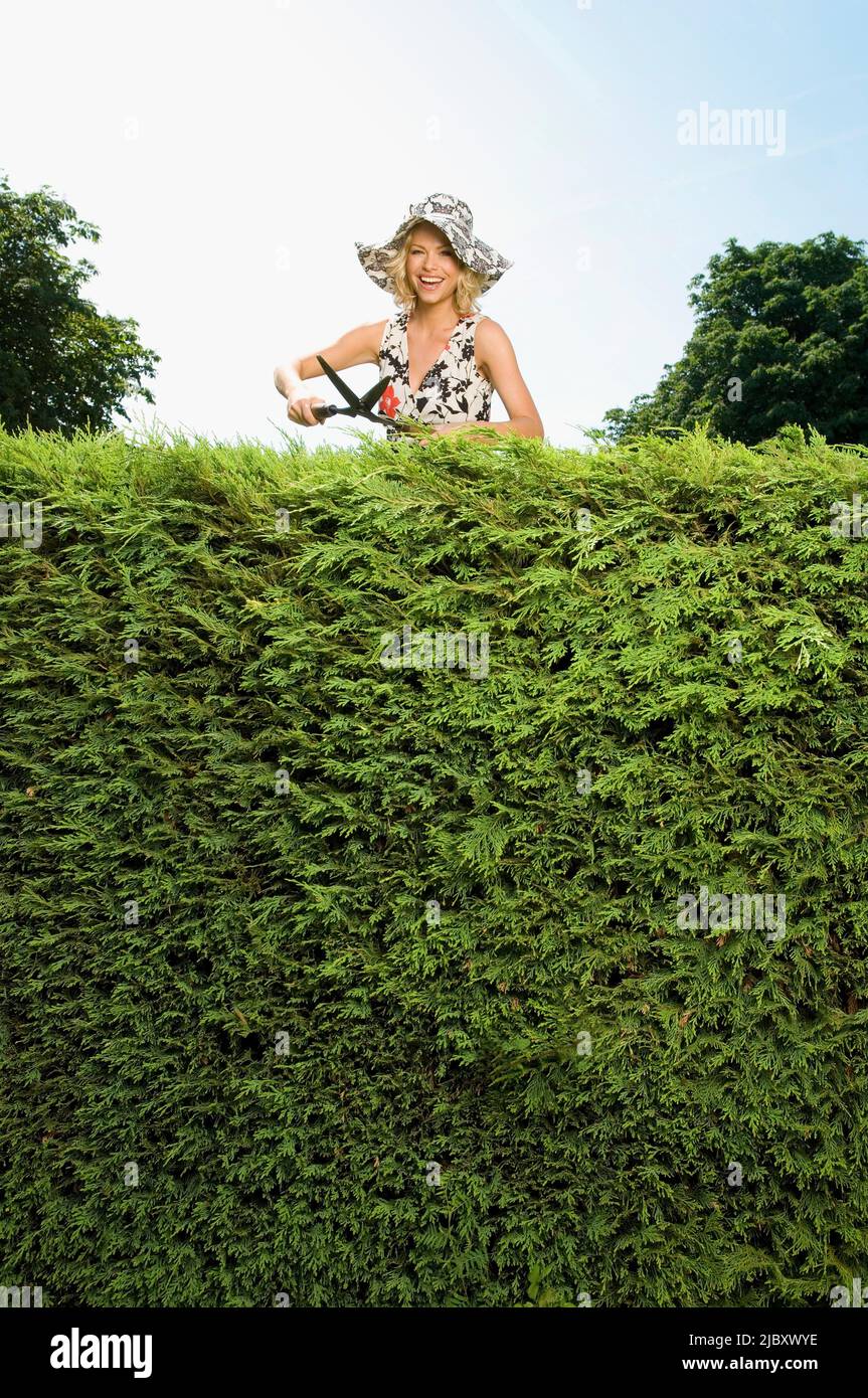 Pruning hedge angle hi-res stock photography and images - Alamy