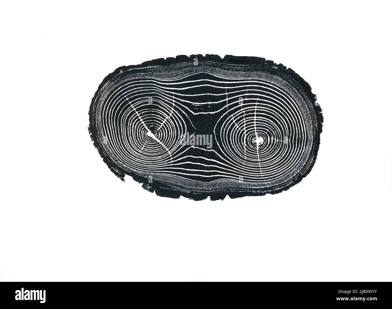 Flat physical description Cut Out Stock Images & Pictures - Alamy