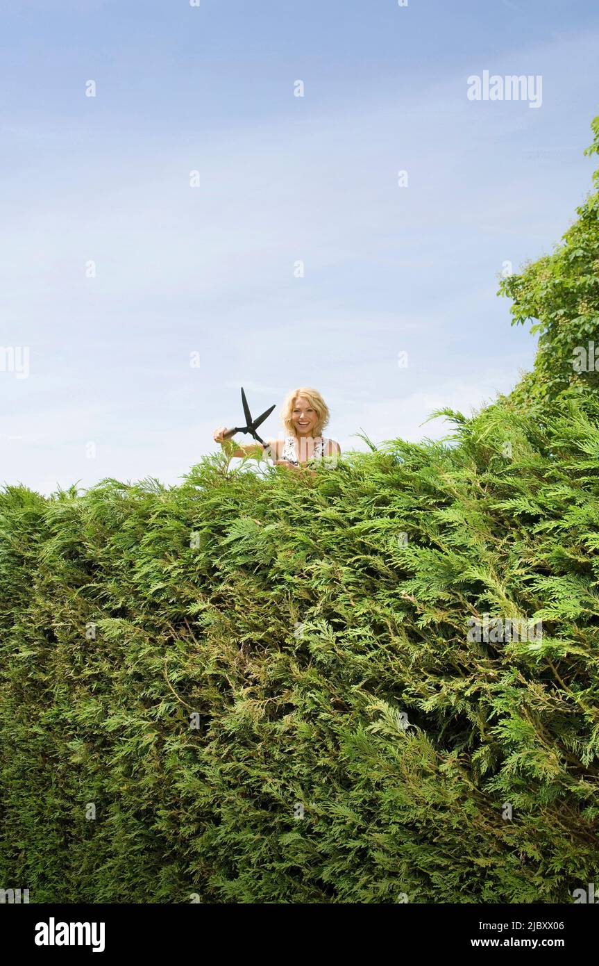 Pruning hedge angle hi-res stock photography and images - Alamy