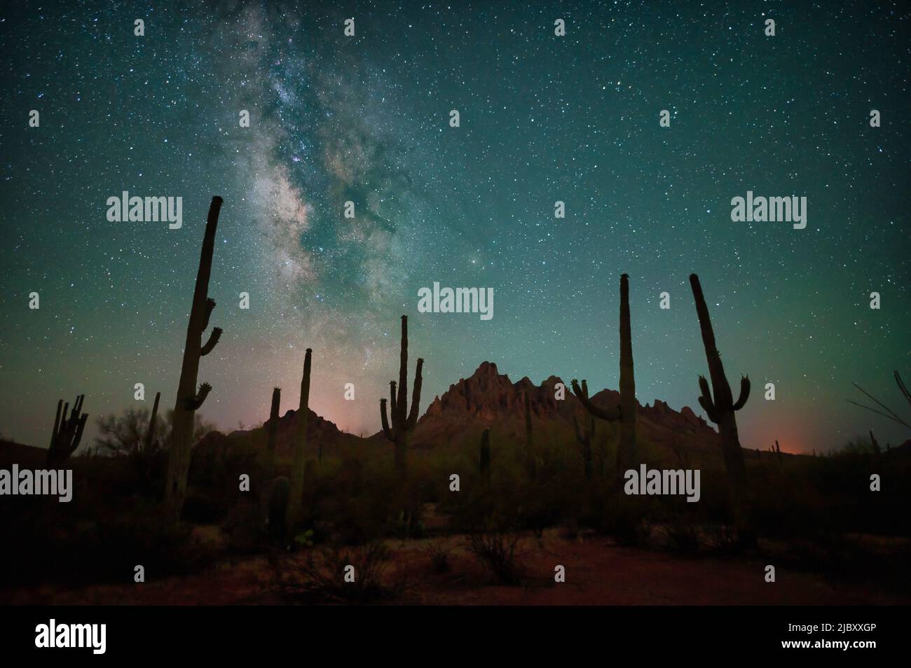 Milky Way over silhouetted Saguaro cactus Stock Photo - Alamy