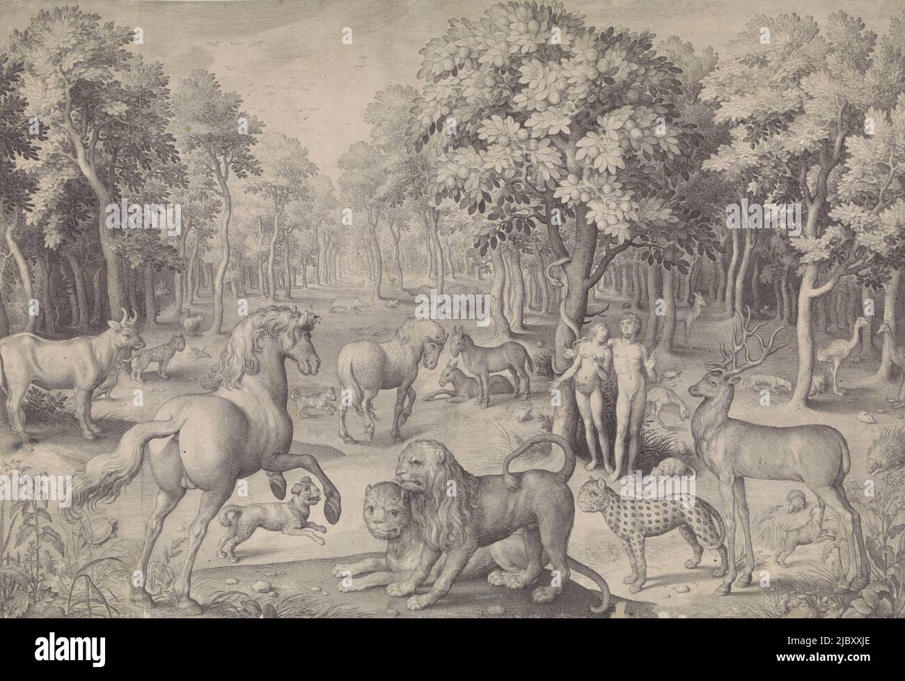 The tree of knowledge fruit hi-res stock photography and images - Alamy