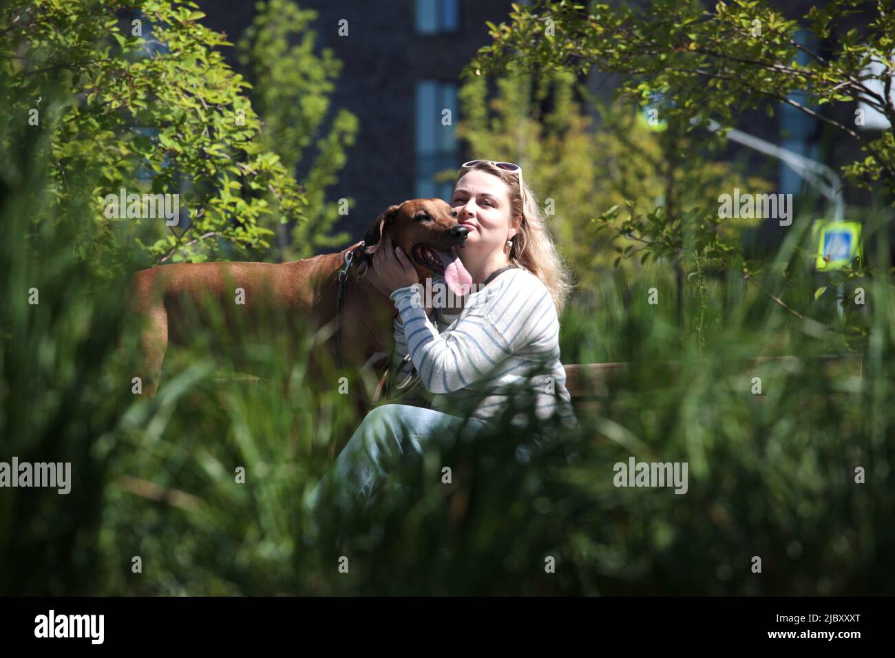 Woman rhodesian ridgeback hi-res stock photography and images - Alamy