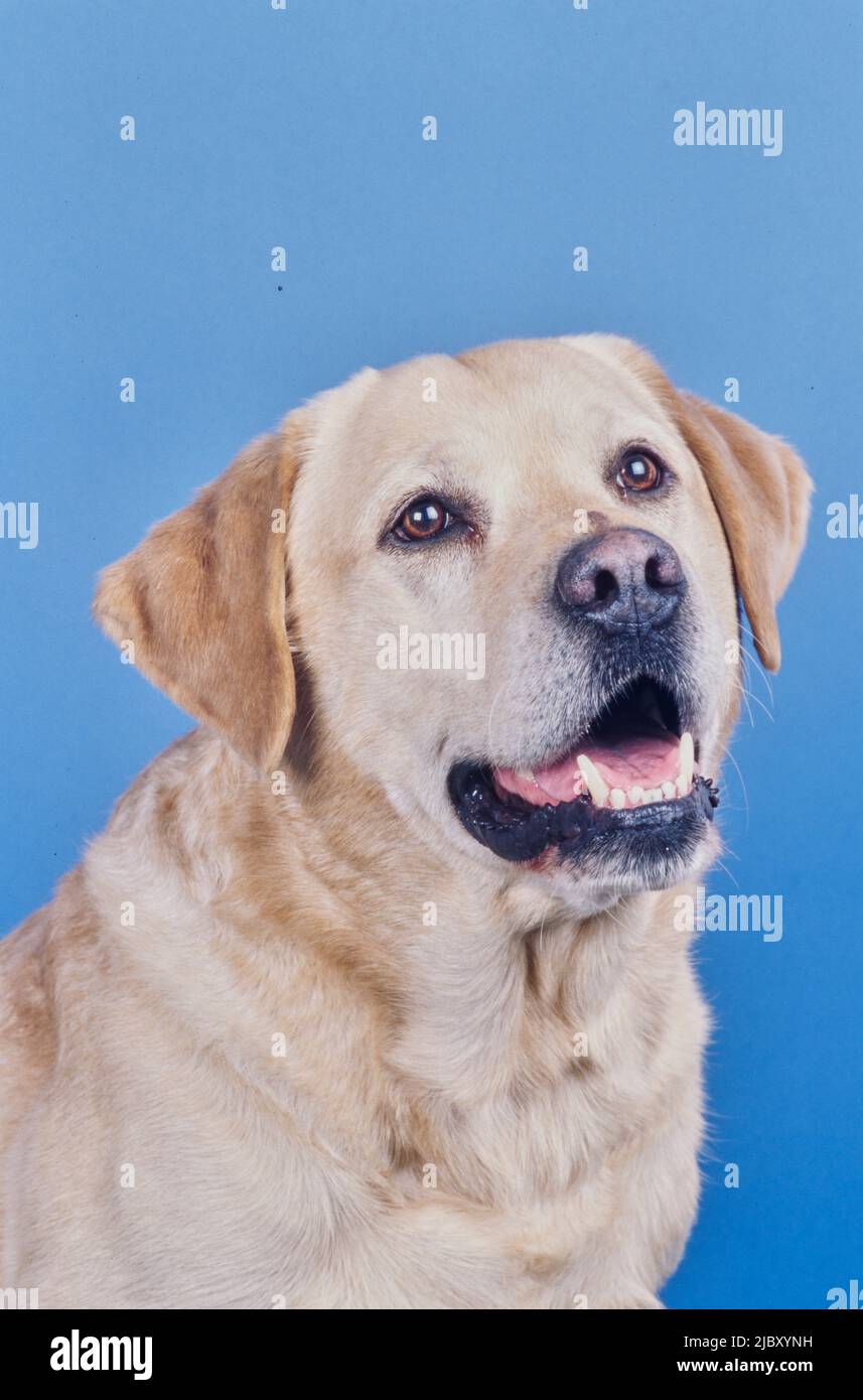 The light lab hi-res stock photography and images - Alamy