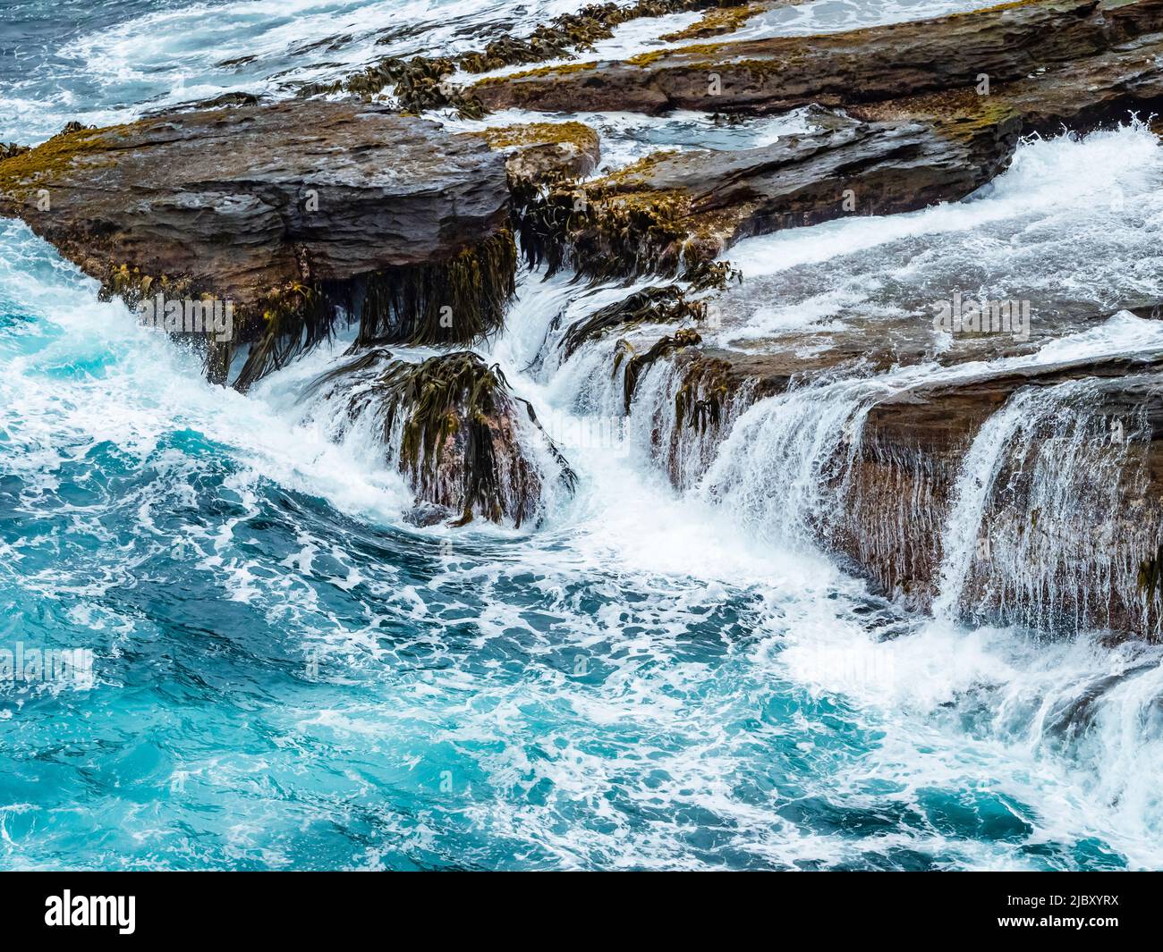 Surf and waves on New Island, Falkland Islands Stock Photo - Alamy