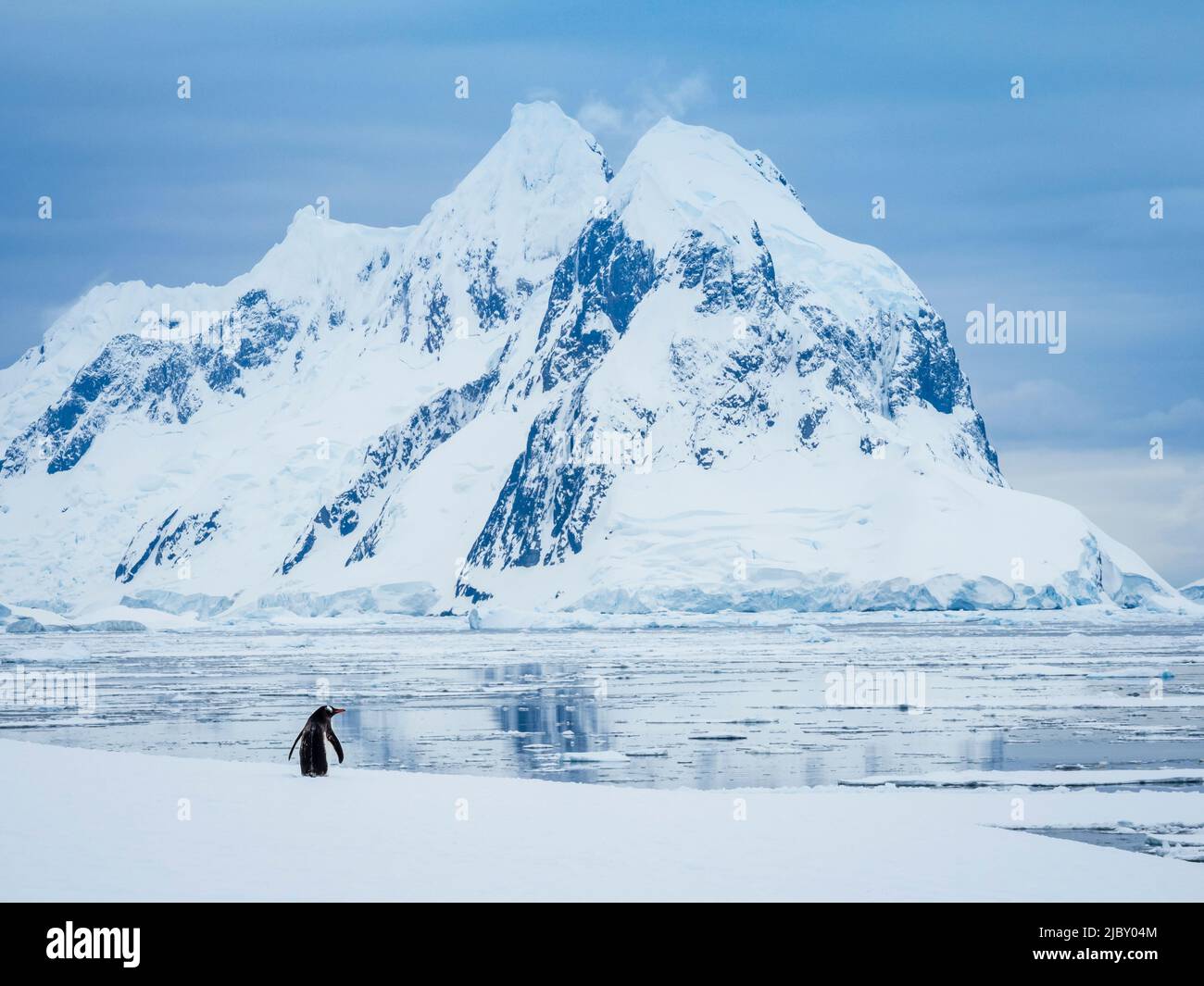 Booth island hi-res stock photography and images - Alamy