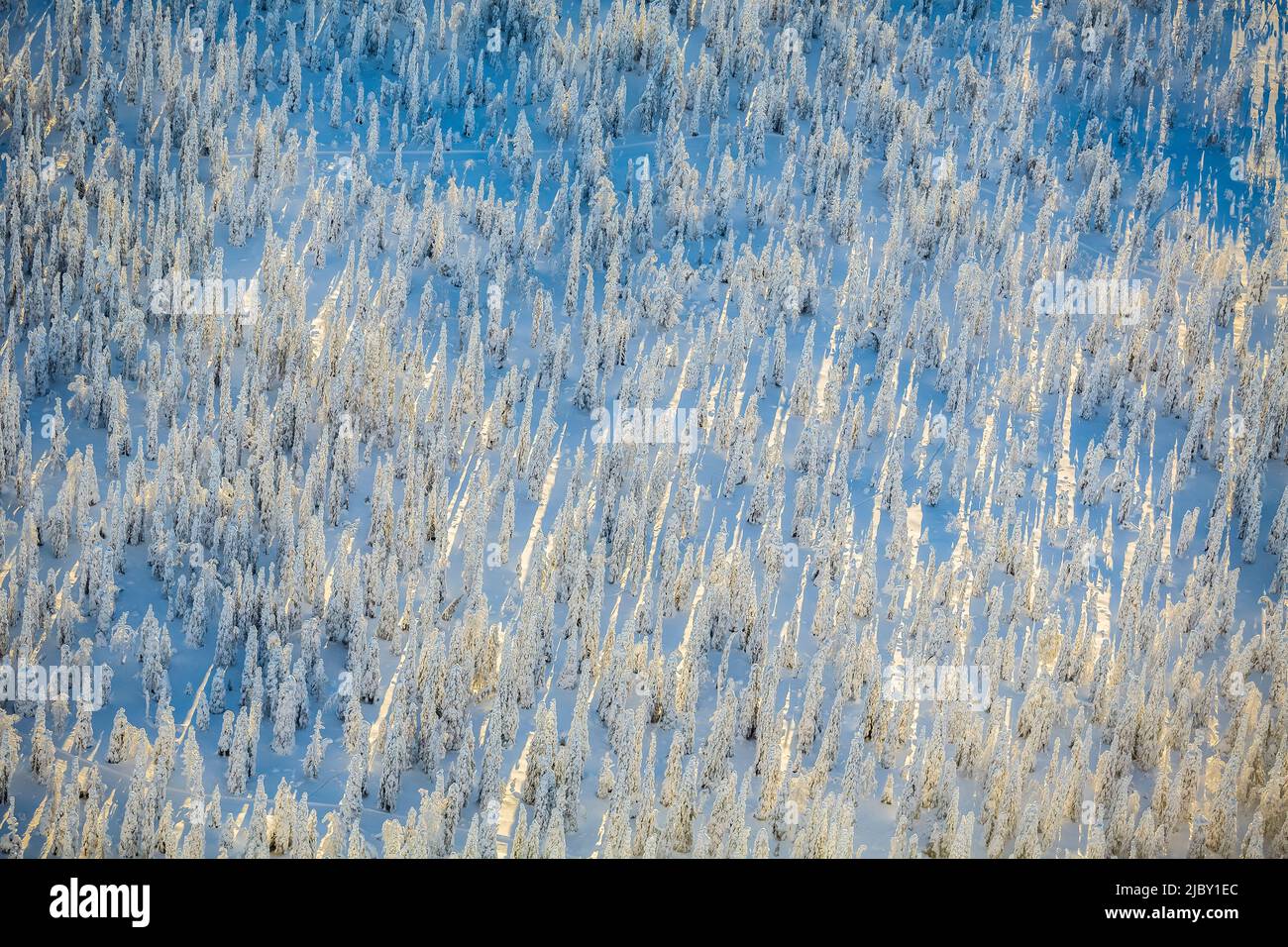 Aerial view of wilderness area covered in snow. Kuusamo, Finnish ...