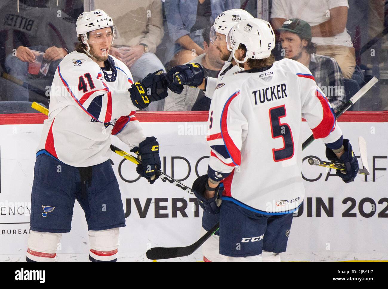 Springfield Thunderbirds' Will Bitten (41) celebrates with teammates ...