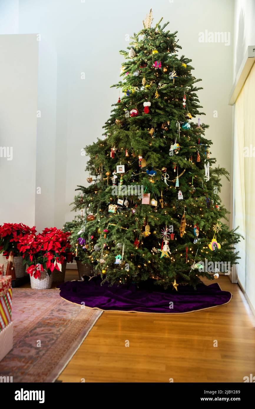 Christmas lights wrapped around tree hi-res stock photography and ...