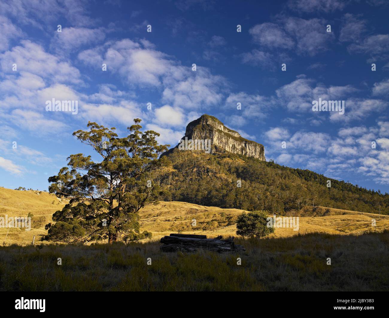 Tooloom national park hi-res stock photography and images - Alamy