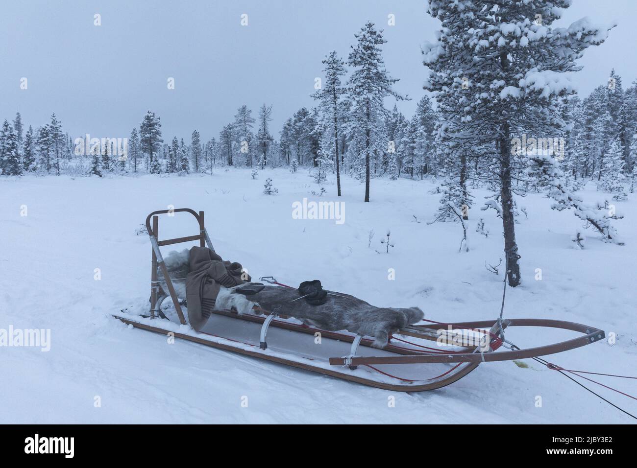 Winter scene in Swedish Lapland of empty dog sled Stock Photo - Alamy