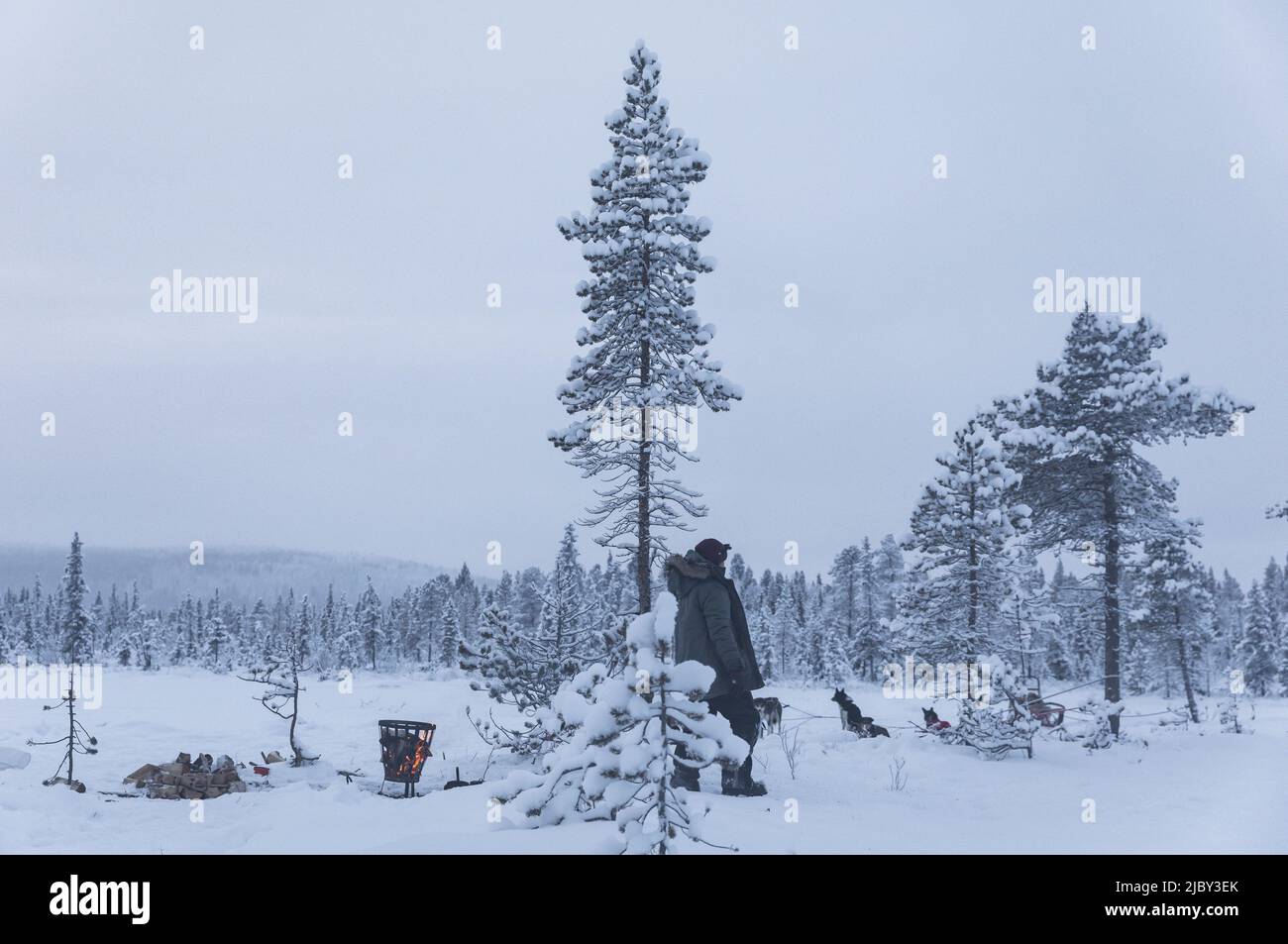 Winter scene in Swedish Lapland Stock Photo - Alamy