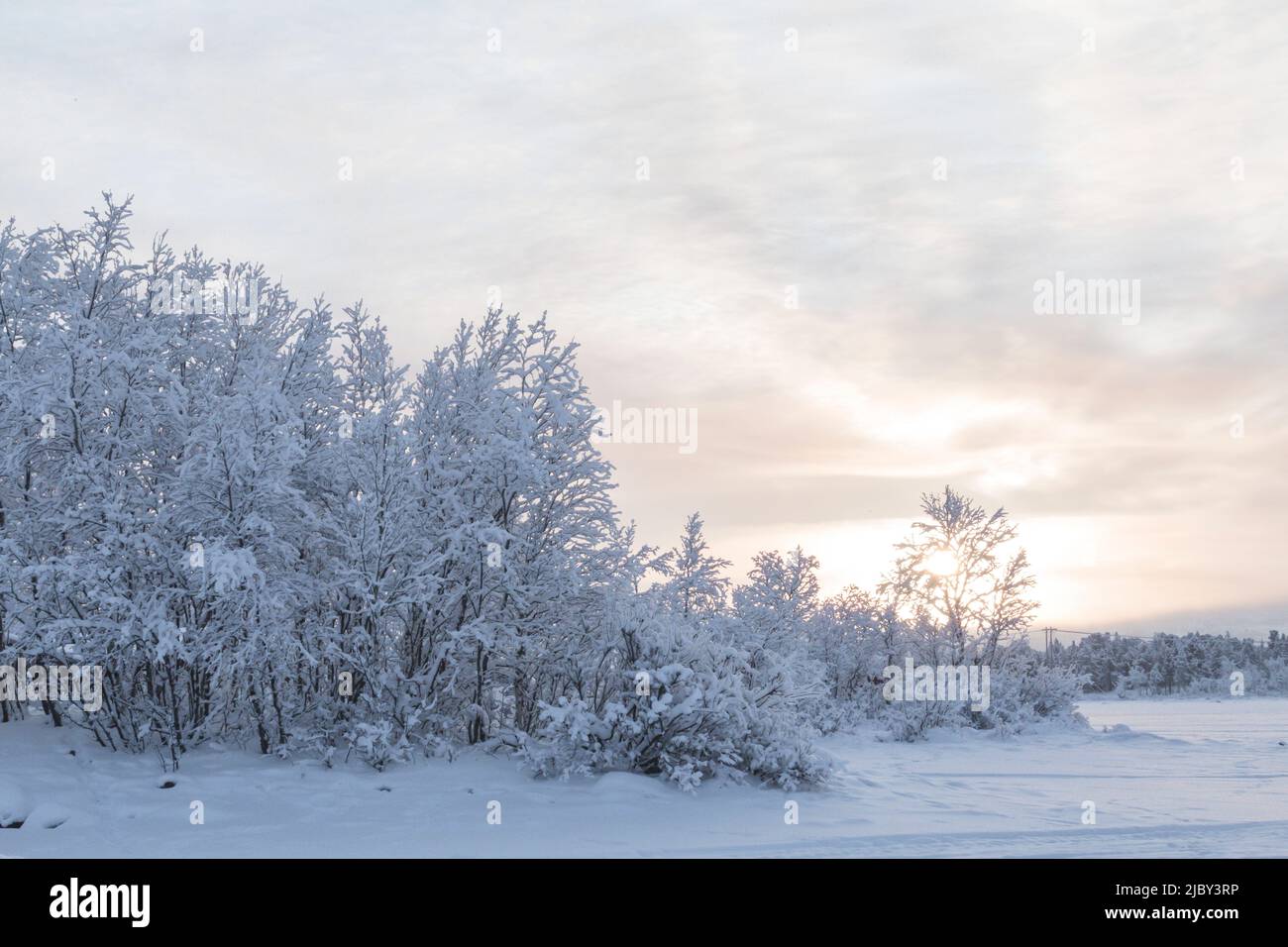 Winter scene in Swedish Lapland Stock Photo - Alamy