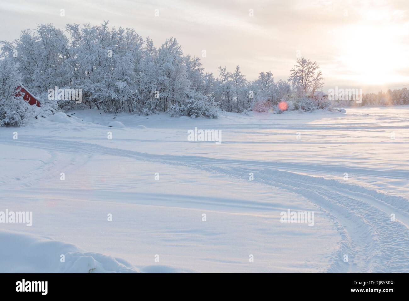 Winter scene in Swedish Lapland Stock Photo - Alamy