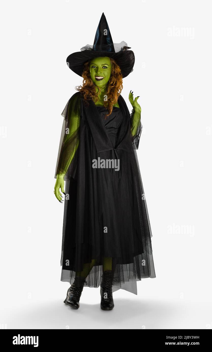 Wicked Witch Of The West Wizard Of Oz Full Body