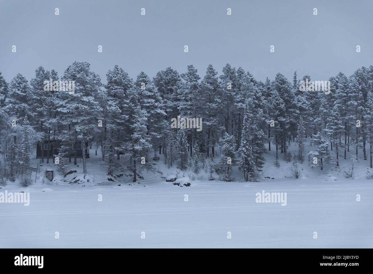 Dark moody Winter scene in Swedish Lapland Stock Photo - Alamy