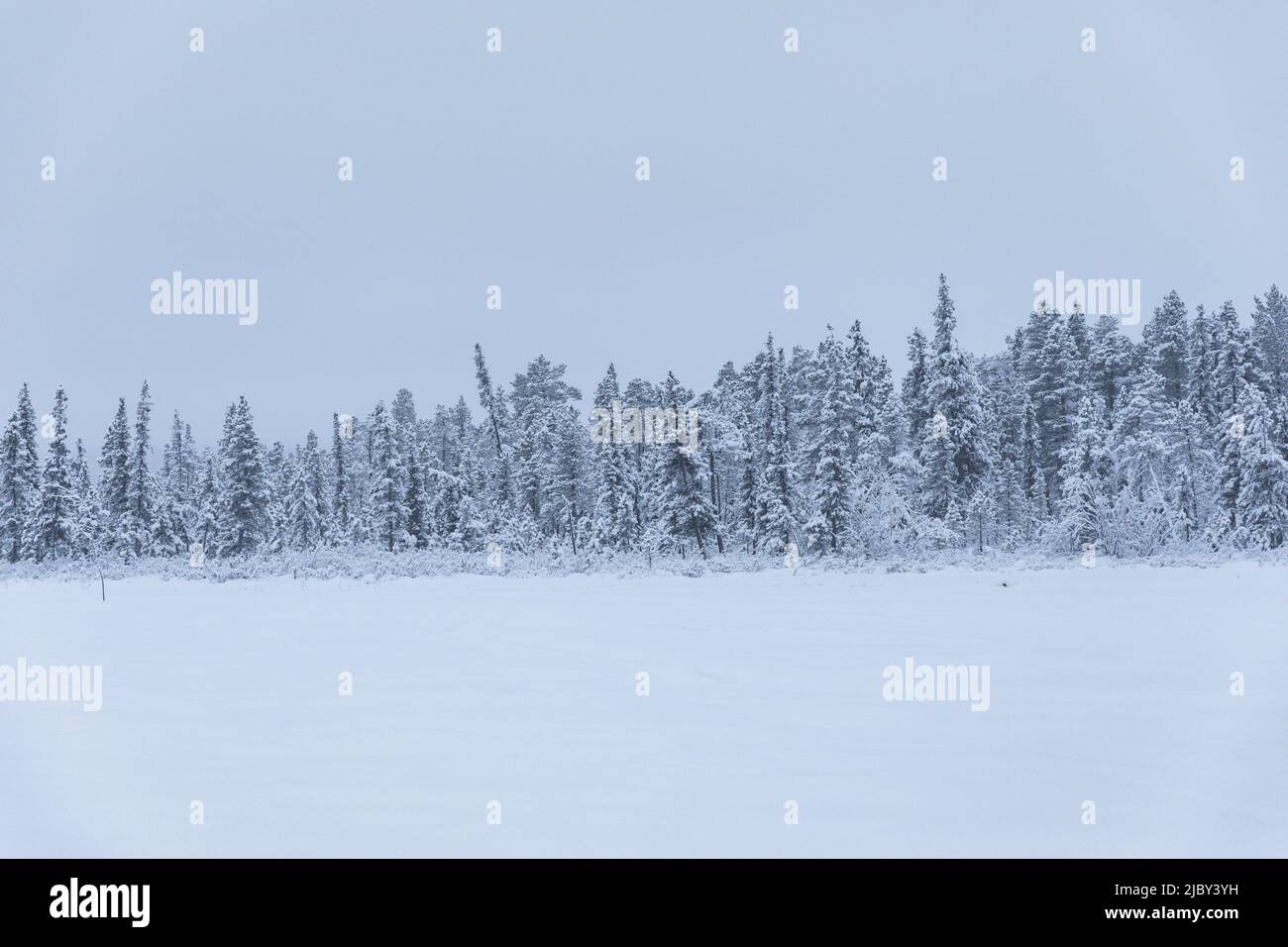 Serene Winter scene in Swedish Lapland Stock Photo - Alamy