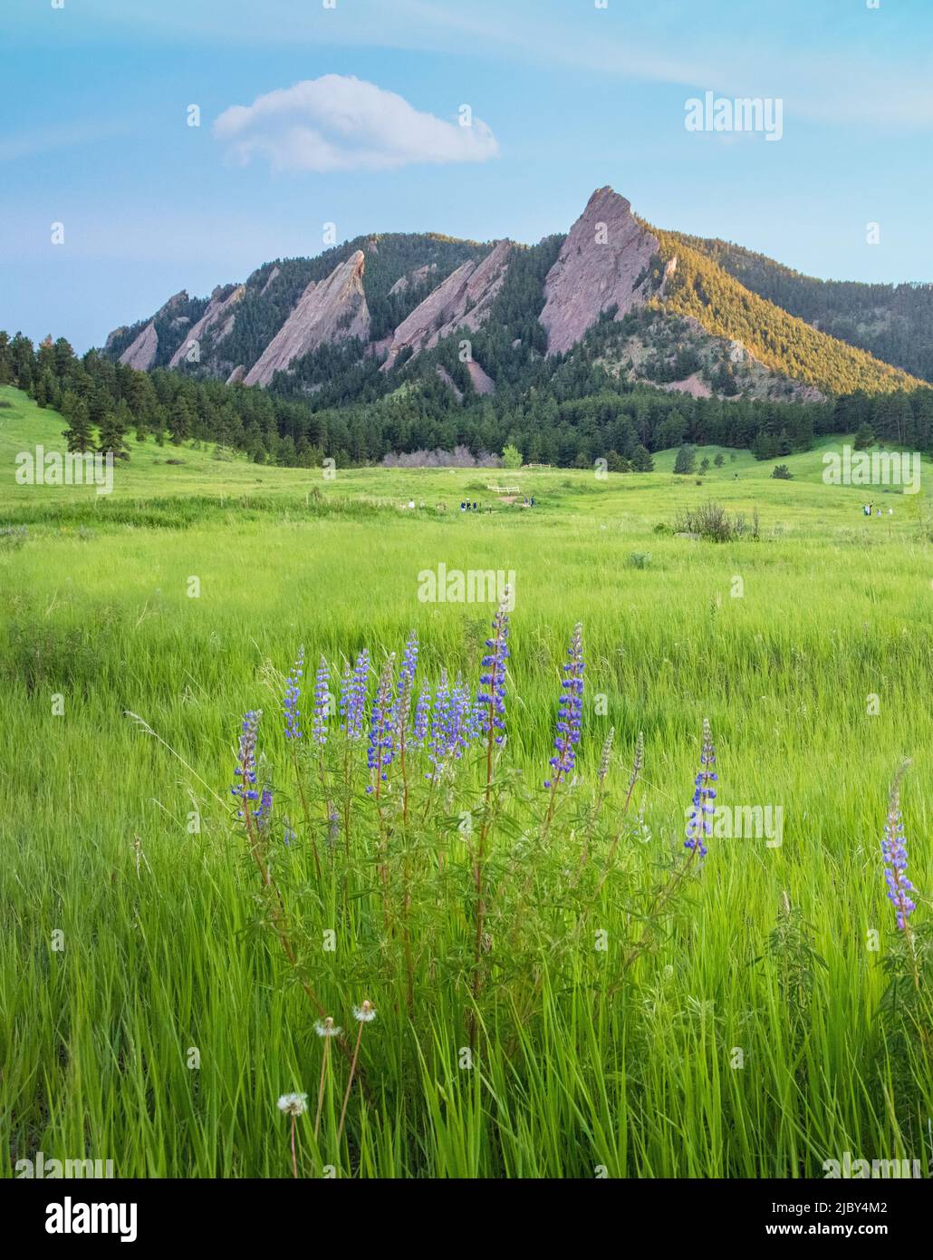 Rockcolorado hi-res stock photography and images - Alamy